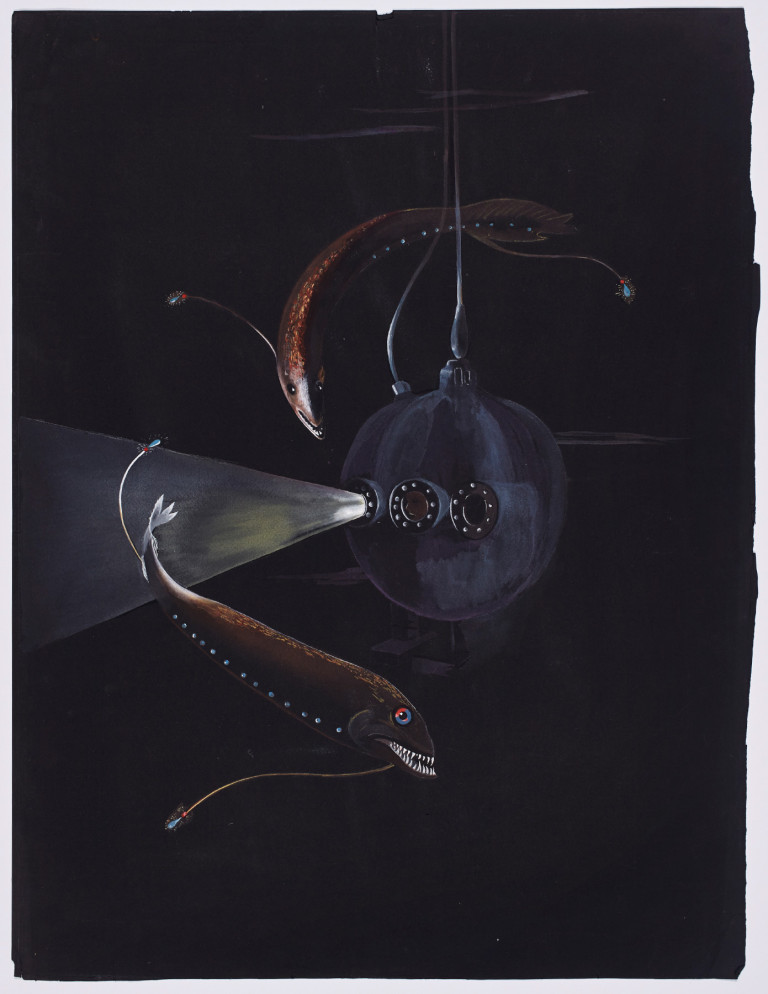 VoCA Journal Bathysphaera intacta